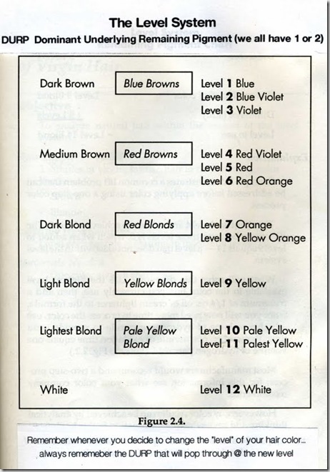 Universal Hair Color Chart 8955